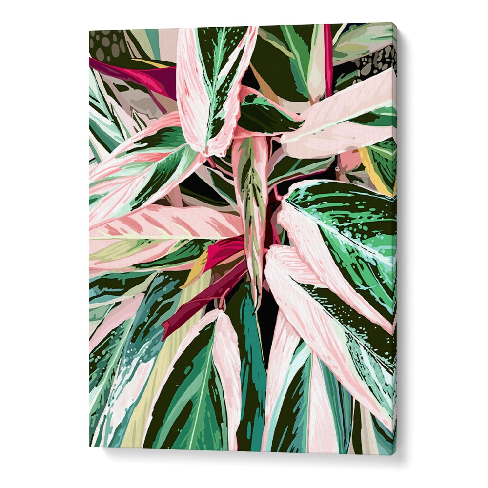 Modern Botanical Wall Art Poster | Tropical Variegated Houseplant Decor ...