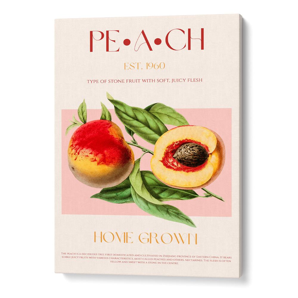 Peach Poster | Botanical Fruit Print | Posters for Room Décor – Nook At You