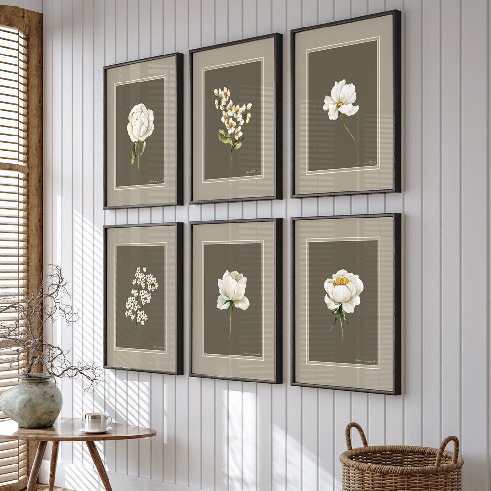 Botanical Gallery Wall Set of 6 in Earthy Brown Tones – Nook At You