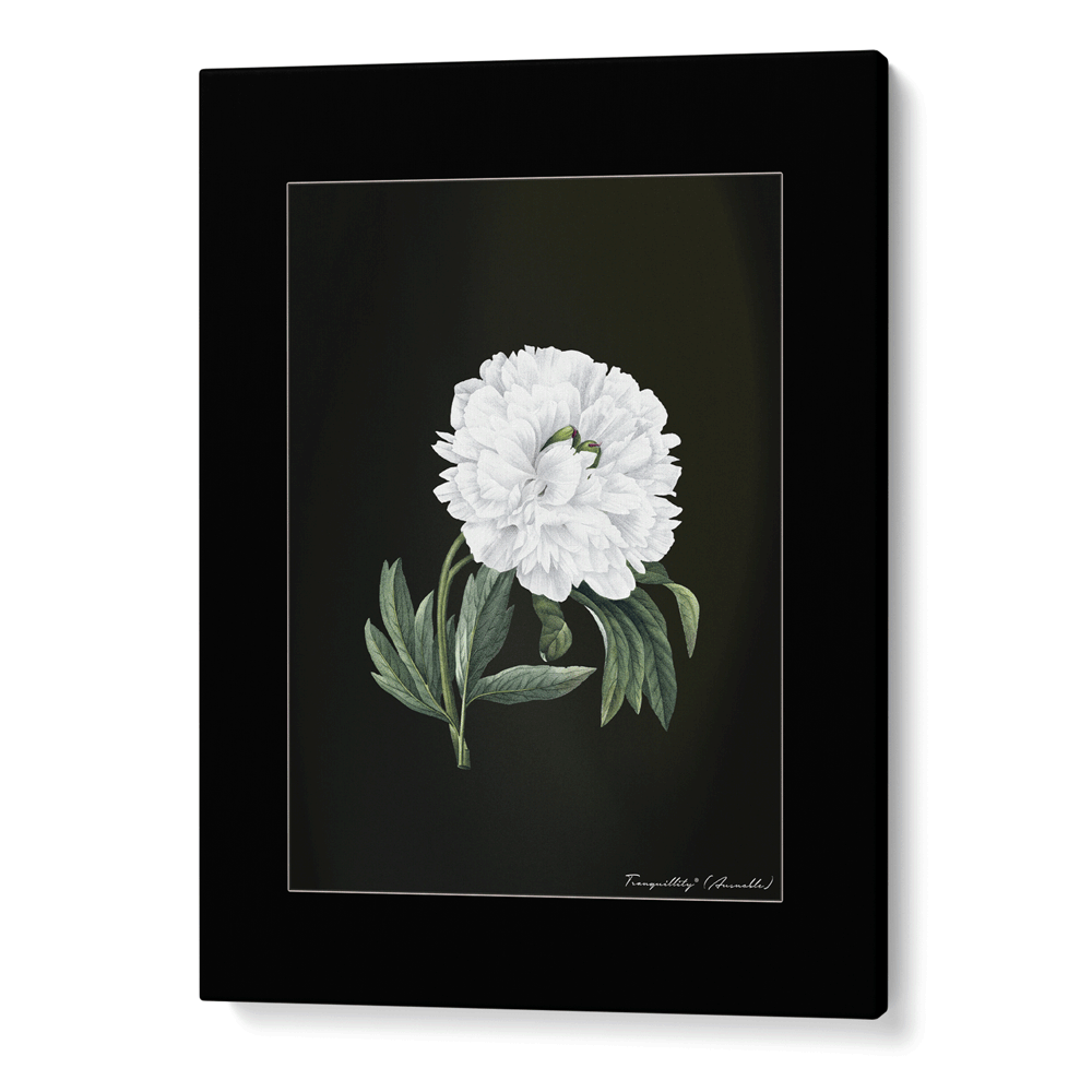 Obsidian Bloom 1 - Black Floral Wall Art – Nook At You