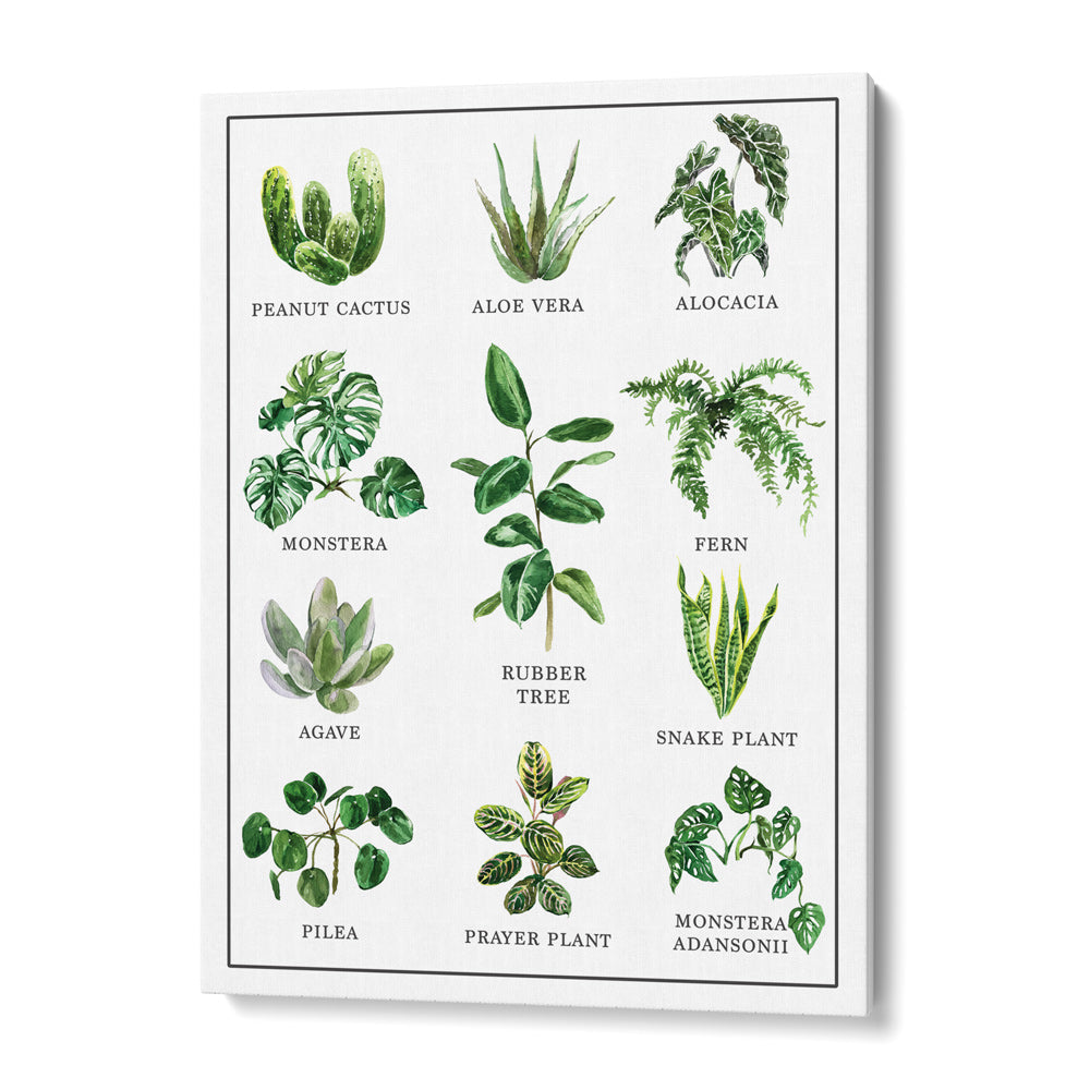 Anthophile Botanical Wall Art Poster – Nook At You