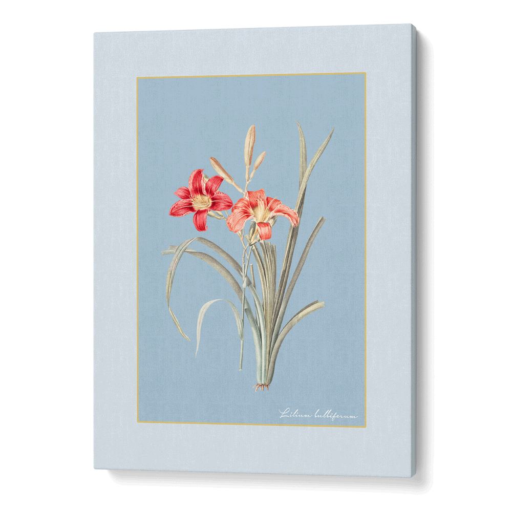 Powder Blue Lily Botanical Wall Art – Nook At You