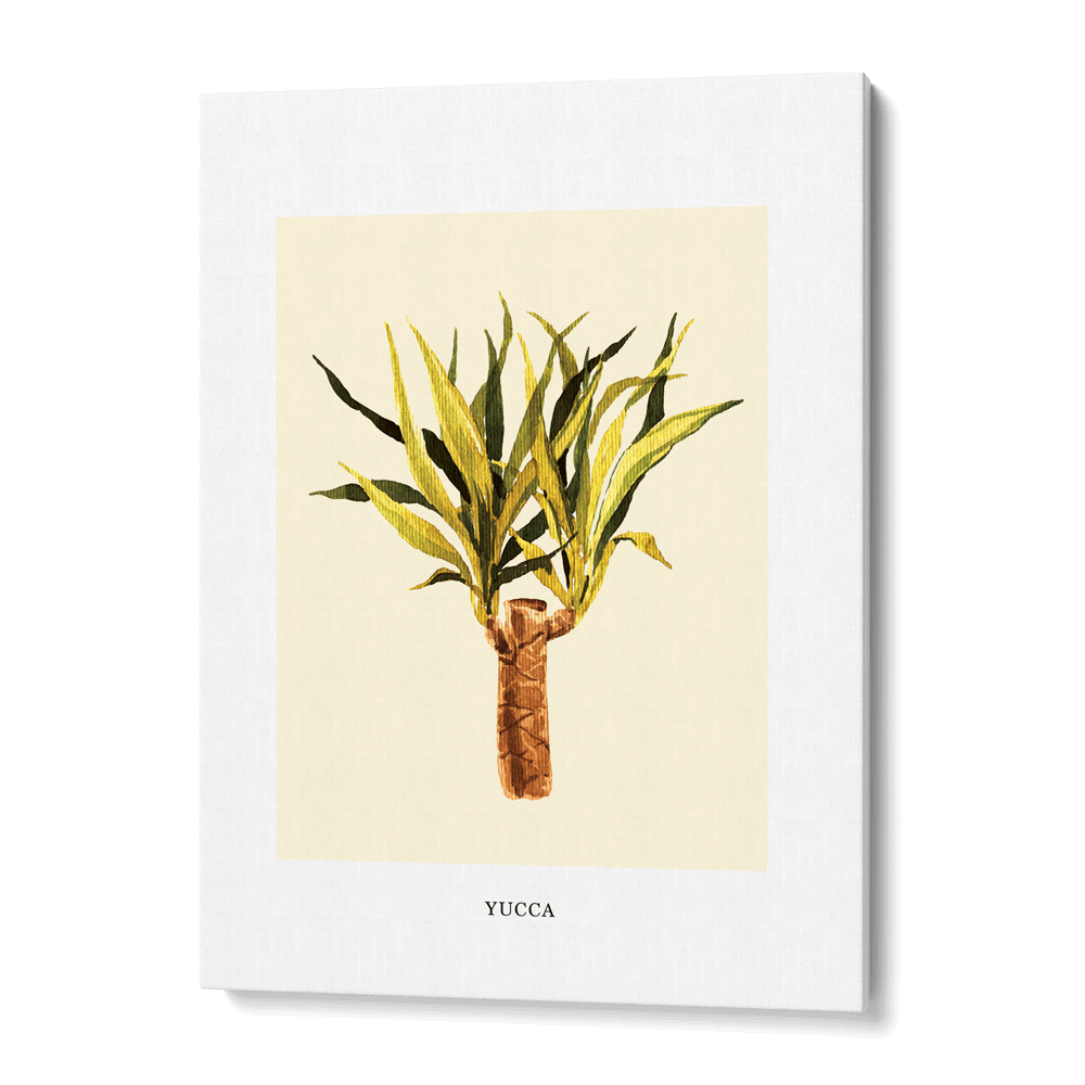 Yucca Wall Art Poster – Nook At You